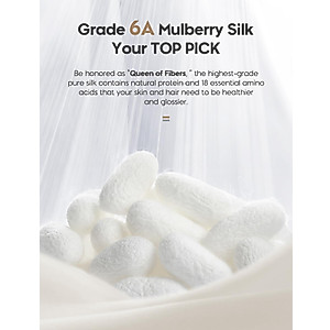 100% Pure Mulberry Silk Pillowcase for Hair & Skin - 22 Momme 6A High-Grade Fibers - Anti-Aging, Anti-Sleep Crease, Cooling Satin Pillowcases with Hidden Zipper, Best Gift Idea (Standard 20x26 Inches)