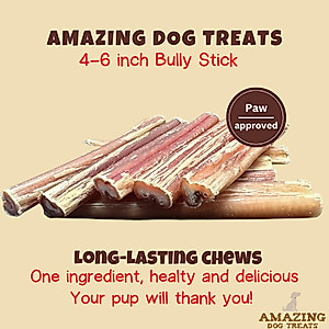 Amazing Dog Treats - 4-6 Inch Variety Bully Sticks (1 lb) - Premium Dog Chews - All Natural Rawhide Alternative - Long Lasting Dog Treats - No Hide Dog Chew - 100% Beef - Promotes Canine Dental Health