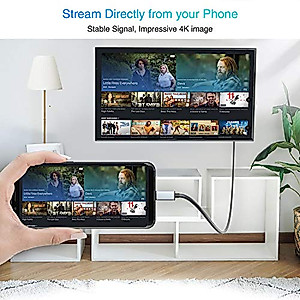 BlueRigger Premium USB C to HDMI Cable (10ft, 4K 60Hz, Braided, USB Type C) – Thunderbolt 3 Compatible with MacBook Pro/Air, iMac, Chromebook Pixel, Samsung Galaxy/Note, Dell, Surface Book