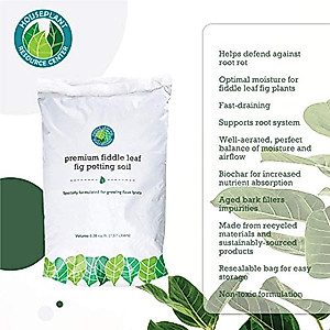 Premium Fiddle Leaf Fig Tree Potting Soil - Perfect for Indoor Plants