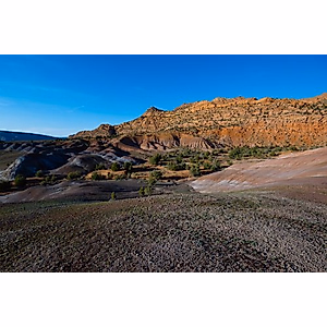 Sigma SD15 14MP X3 FOVEON CMOS Digital SLR with 3.0 inch LCD