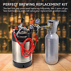 MRbrew 2 Pair Ball Lock Keg Post, Stainless 304 Homebrew 19/32’’-18 Co2 Gas kegerator Beer Liquid Cornelius Corny Poppet Spring Spare Sealing O-ring Keg Posts Kit for Brewing Quick Disconnect Fitting