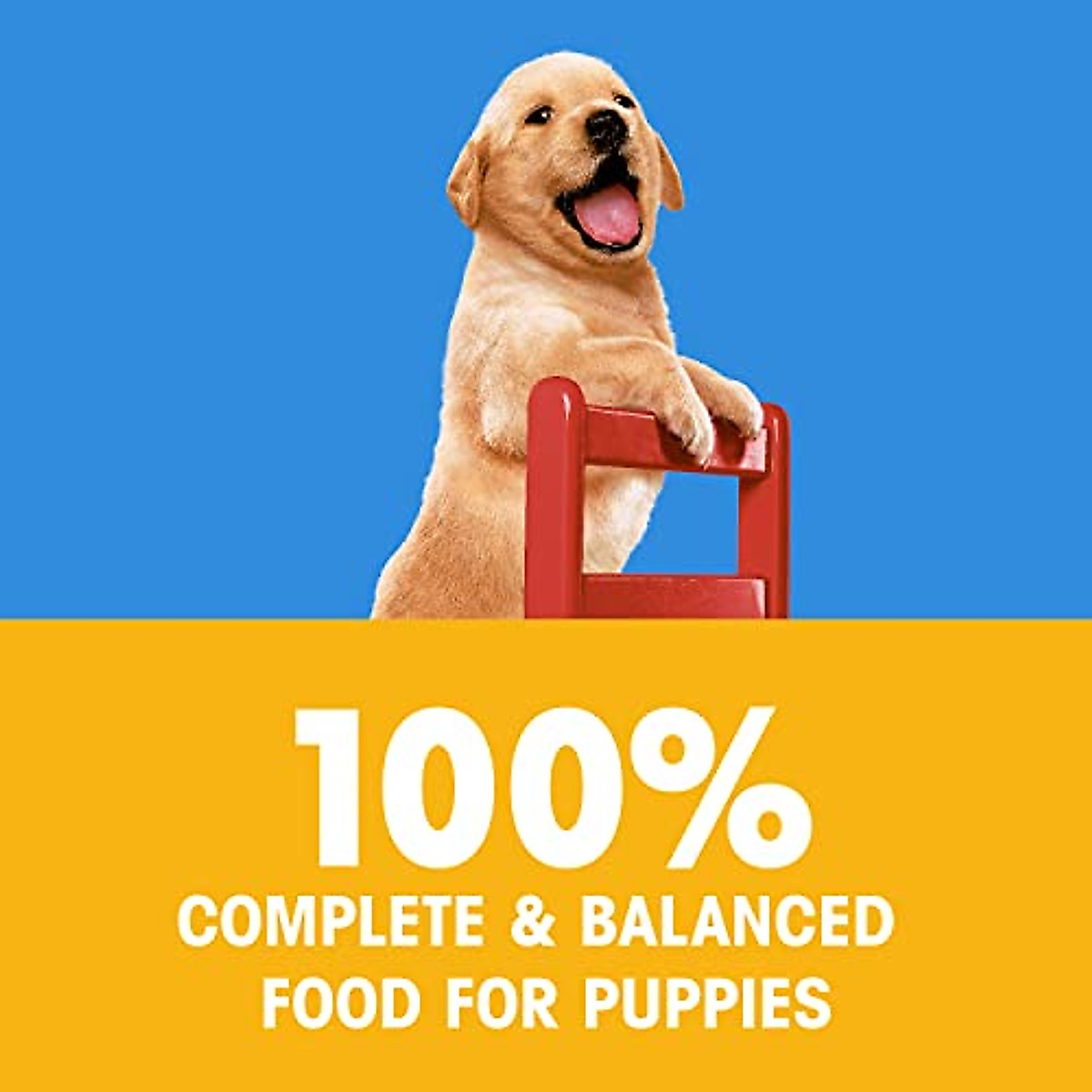 PEDIGREE Puppy Growth & Protection Dry Dog Food Grilled Steak & Vegetable Flavor, 3.5 lb. Bag