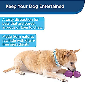 PetSafe Busy Buddy Dinosaur S, Durable Dog Chew Toy, Dog Toy with Treat Rings, Small Dogs