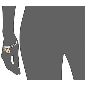 Alex and Ani Women's Initial E II Bangle Two Tone Bracelet, Rafaelian Silver