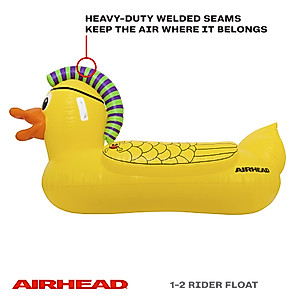 Airhead Punk Duck Inflatable Pool Float Large