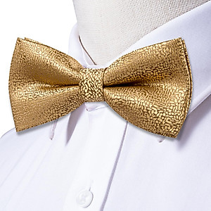 Dubulle Gold Bow Tie Lapel Pin Set for Men Mens Solid Gold Pretied Bowties Handkerchief Cufflinks