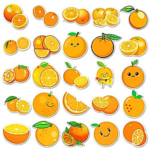 QUTA Orange Stickers Pack, 50PCs, Aesthetic Vinyl Kids Fruit Sticker Decals, Stickers for Hydro Flask, Laptop, Water Bottle, Stickers for Kids, Toddlers, Teens, Girls, Adults, Bumper Car Planner Stickers. Orange