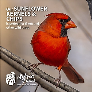 Schoen Farms Sunflower Kernels and Chips (6 LBS) Hearts, Bird Seed