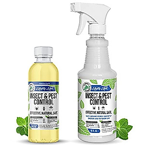 Mighty Mint Peppermint Oil Insect & Pest Control Spray with Concentrate - Makes 1 Gallon