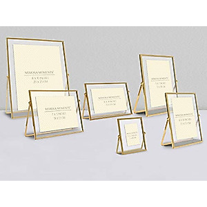 MIMOSA MOMENTS Gold Metal Floating Picture Frame (Gold, 8x10)