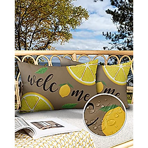 ALAGEO Outdoor Waterproof Pillow Covers for Patio Furniture Summer Fruit Lemon Decorative Throw Pillow Cover Plant Green Leaves Brown Pillowcases Set of 2 Cushion Case for Sofa Couch Chair 20x12 in