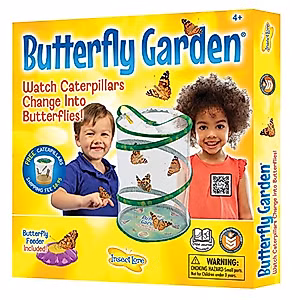 Insect Lore - Butterfly Growing Kit - With Voucher to Redeem Caterpillars Later