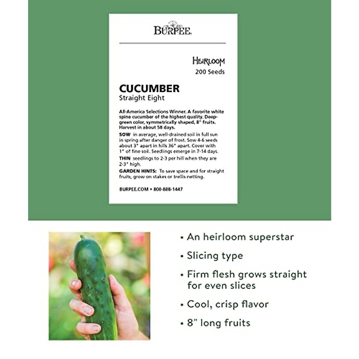 Burpee Straight Eight Slicing Cucumber Seeds 200 seeds