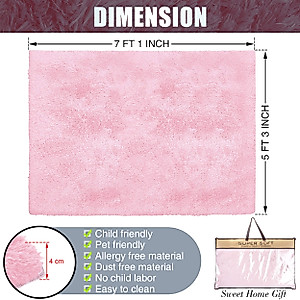 RUG BRANCH Super Soft Plain Plush Shag Pink Indoor Area Rug for Living Room, Bedroom, Dining Room, and Kitchen - 4' x 6' (4' X 5'3")