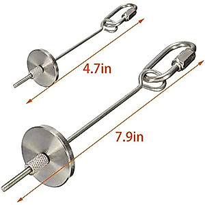 Brave Tour Bird Food Holder, Bird Feeders, Stainless Steel Parrot Fruit Vegetable Stick Holder, Foraging Toy, Bird Treat Skewer