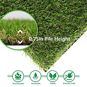 Petgrow Artificial Synthetic Grass Turf 5FTX8FT(40 Square FT),0.8" Pile Height Indoor Outdoor Pet Dog Artificial Grass Mat Rug Carpet for Garden Backyard Balcony