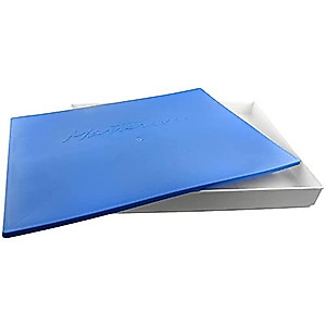 Masterson Sta-Wet Paint Palette with Airtight Lid, 16 x 12 Inch Artist Palette Seal Box with Airtight Lid, for Oil Based Paint, Keeps Wet Paint Fresh for Days, and Number 1 in Service Tissue Pack