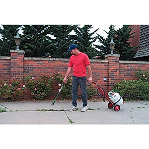 Red Dragon VT 2-23 C Weed Dragon 100,000-BTU Propane Vapor Torch Kit, Steel