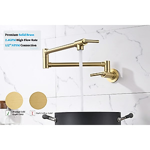 Havin Kitchen Faucet and Pot Filler Faucet