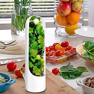 LONG XIN SERIES 1PCS Herb Saver Refrigerator Vegetable Preservation Bottle Herb Storage Container Clear Herb Container for Kitchen Fresh Keeper Cilantro Mint Asparagus