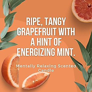 Marcella Candles Grapefruit Candle - Uplifting Grapefruit Mint Aromatherapy Candle, Hand-Poured Soy Wax Candle, 13oz Two Wick Non-Toxic Lavender 0