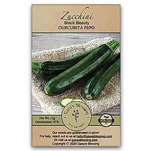 Gaea's Blessing Seeds - Zucchini Seeds - Non-GMO - with Easy to Follow Planting Instructions - Heirloom Black Beauty Summer Squash 97% Germination Rate