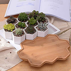 Zamtac Set of 10 Hexagon Flowerpots White Ceramic Succulent Plant Pot with Bamboo Stand Bonsai Planter Garden Supply