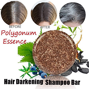Hair Darkening and Regrowth Solid Shampoo Bar for Hair Loss Treatment for Men & Women (Polygonum multiflorum 2pcs)