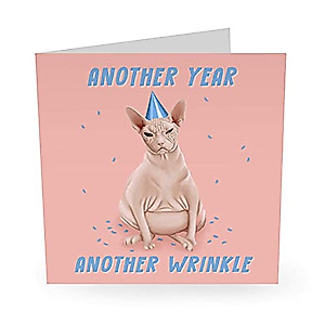 Central 23 - Funny Animal Birthday Card - “Sphynx Cat Another Year Another Wrinkle” - For Men & Women - Mom Dad Husband Wife Brother Sister 21st 25th 30th 40th 50th 60th - Comes with Fun Stickers