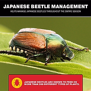 Catchmaster Japanese Beetle Traps Outdoor 6PK, Flying Insect Trap Bag with Dual Pheromone Food Lure, Hanging Bug Catcher for Backyard & Garden, Pest Control for Plants, Trees, Vegetables & Flowers