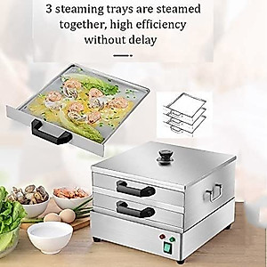DAREV Electric Cantonese Rice Noodle Rolls Machine, 2 Layer Stainless Steel Steamed Vermicelli Roll Steamer with 3 Steameing Tray