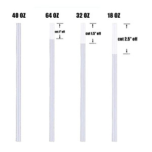 Hydro Energy [6-Pack 9.5-Inch] Replacement Straws for Hydro Flask Wide Mouth Water Bottle, 6 Straws and a 2 Straws Brushes Included