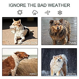 PawHut 8' x 4' x 6' Dog Playpen Outdoor, Dog Kennel Dog Exercise Pen with Lockable Door, Water-Resistant Canopy, for Medium and Large Dogs