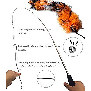 Cat Toys Set, Cat Retractable Teaser Wand, Catnip Fish, Interactive Cat Feather Toy, Mylar Crincle Balls, Two Cotton Mice, Four Fluffy Mouse