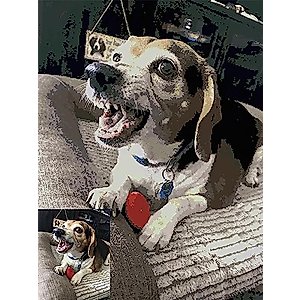shuizemu Custom Stamped Cross Stitch Kit Stitch Your Photo Create Your Own Memory Counted Cross-Stitch Personalized Embroidery Kit for Baby Pets or Family (15.75" X 19.69"/40cm X 50cm)