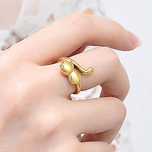 Imrsanl Cremation Jewelry Ring for Ashes Stainless Steel Cat Urn Rings for Funeral Finger Rings Keepsake Memorial Ash Jewelry - Size 7