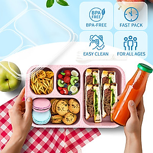 Bento Box for Adults and Snack Containers Set of 4 - Stackable, with 4 Compartments, Microwave & Dishwasher Safe, BPA Free - Reusable Meal Prep Containers for Kids and Adults (4 Colors)