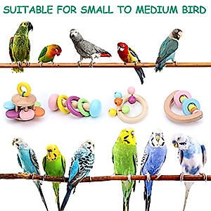 DOHAOOE Large Bird Toys for Foot Parrot Handheld Interactive Toys, 4 Pack