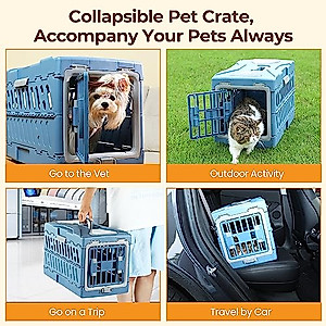 FULUPET Collapsible Dog Crate, 22 Inch Collapsible Dog Kennel, Travel Dog Crate Breathable Travel Carrier, Foldable 360° Ventilation Lightweight Travel Crate for Small Dogs and Cats