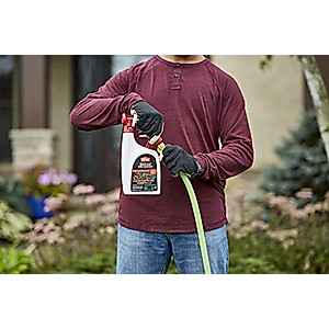 Ortho BugClear Insect Killer for Lawns & Landscapes Ready to Spray - Kills Ants, Spiders, Fleas, Ticks, Armyworms & Other Insects, Outdoor Bug Spray for up to 6 Month Insect Control, 32 oz.