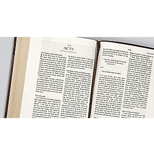 ESV Large Print Wide Margin Bible (TruTone, Brown/Cordovan, Portfolio Design)