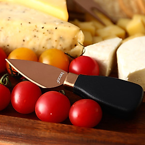 hecef Cheese Knife & Acrylic Stand Set of 5 - Stainless Steel Cheese Slicer with PP Handle & Acrylic Stand