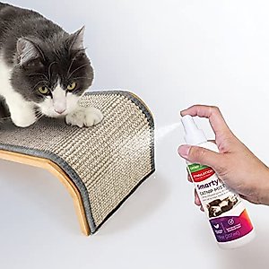 SmartyKat Catnip Mist Spray for Cats & Kittens, Safe for Pets - 7 Fluid Ounces
