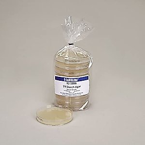 Starch Agar, 1%, Prepared Media Plates, 100 x 15 mm, Pack of 10