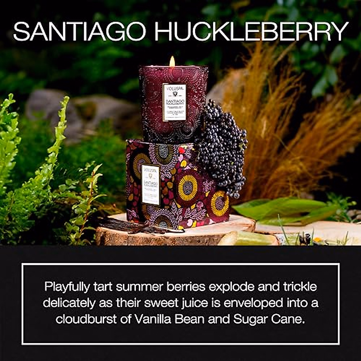 Voluspa Santiago Huckleberry, Classic Boxed Candle, 9 Ounce, 60 Hour Burn Time, All Natural Wicks and Coconut Wax for Clean Burning, Vegan, Poured in The USA