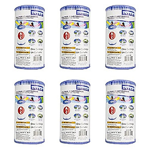 (Pack of 6) Intex 29000E/59900E Easy Set Pool Replacement Type A or C Filter Cartridge