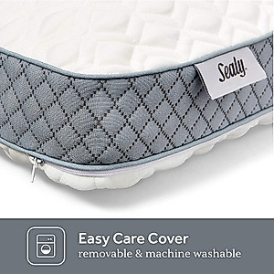 Sealy Molded Memory Foam Pillow, 16 inches x 24 inches x 5. 75 inches, White, Grey