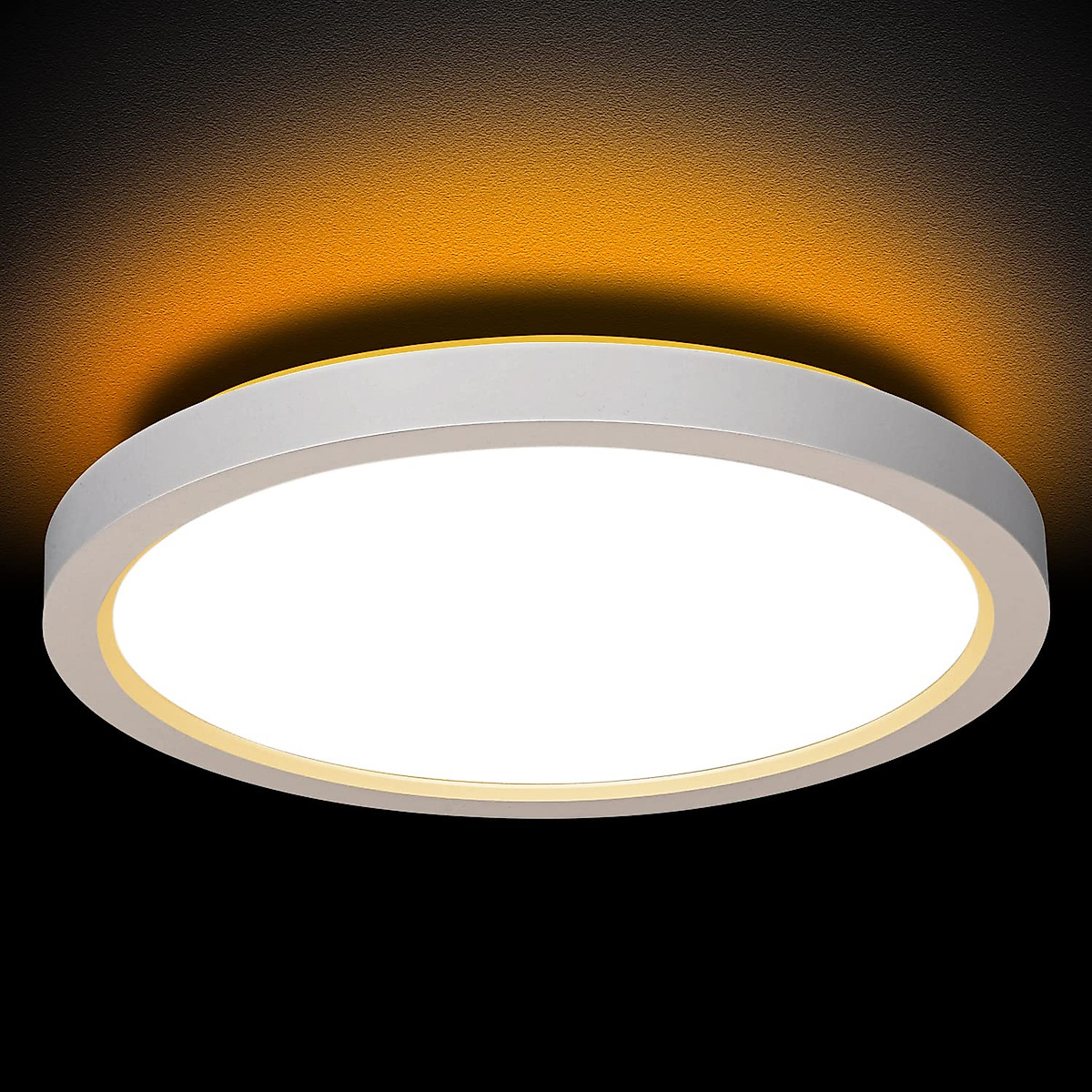 13 Inch LED Flush Mount Ceiling Light with Night Light, 24W, 2400lm, 3000K/4000K/5000K Selectable, Round Flat Panel Light, Dimmable Fixture for Dining Room, Bedroom, Kitchen, Hallway