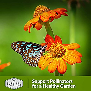 Survival Garden Seeds - Mix of Popular Sunflower Seeds for Planting - 5 Packs with Instructions to Grow Beautiful Flowers in Your Home Vegetable or Flower Garden - Non-GMO Heirloom Varieties